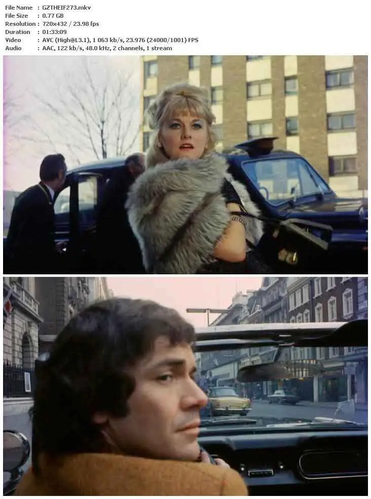 The Sex Thief 1973 [remastered] Avaxhome