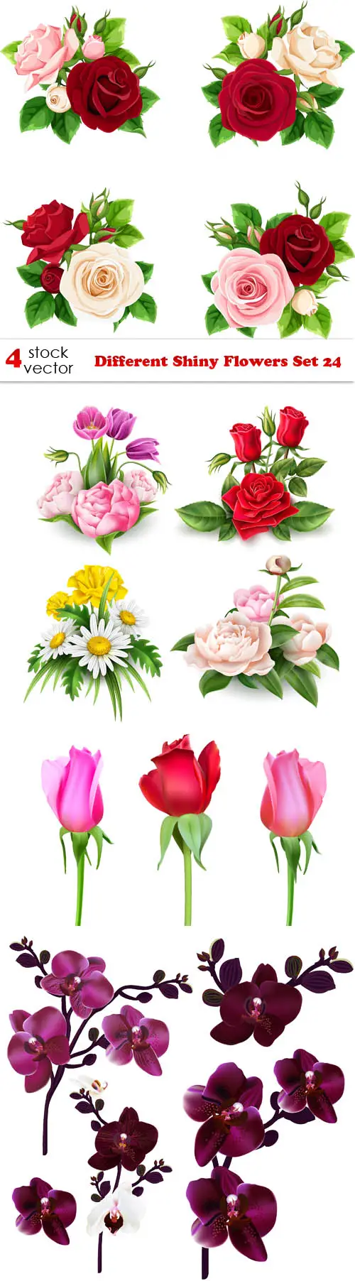 Vectors Different Shiny Flowers Set 24 Avaxhome