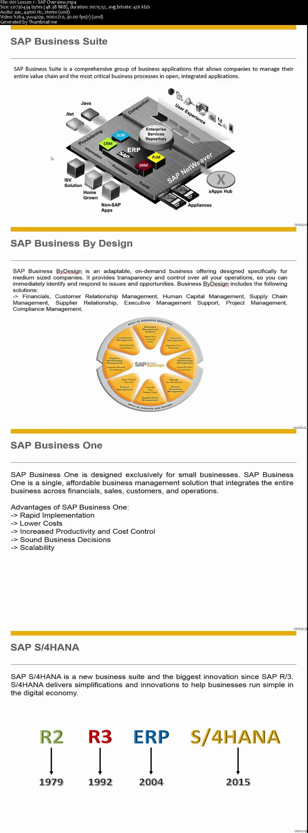 SAP For Beginners Comprehensive Guide 2016 AvaxHome