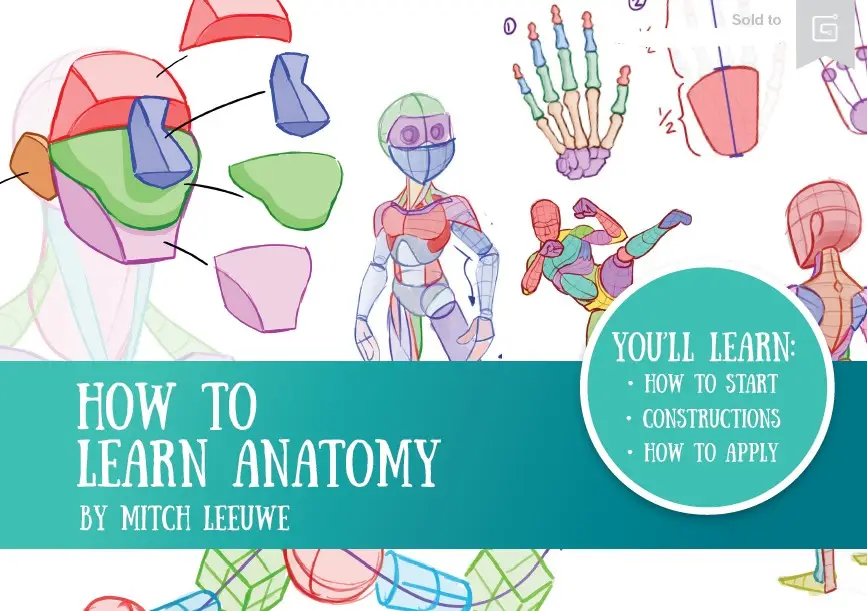 How To Learn Anatomy AvaxHome