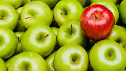 Difference Between Codes Asme B31.1 & Asme B31.3 / AvaxHome