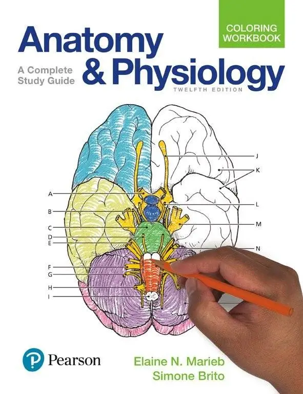 Anatomy And Physiology Coloring Workbook A Complete Study Guide 12th 