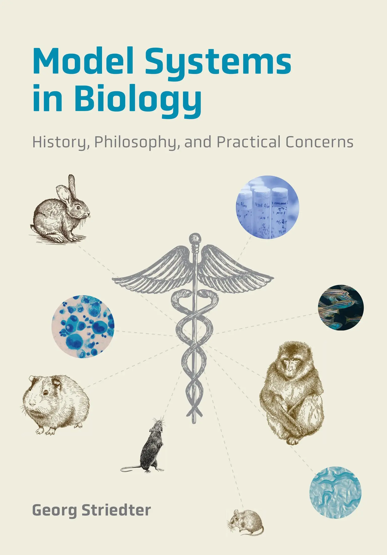 Model Systems In Biology History Philosophy And Practical Concerns